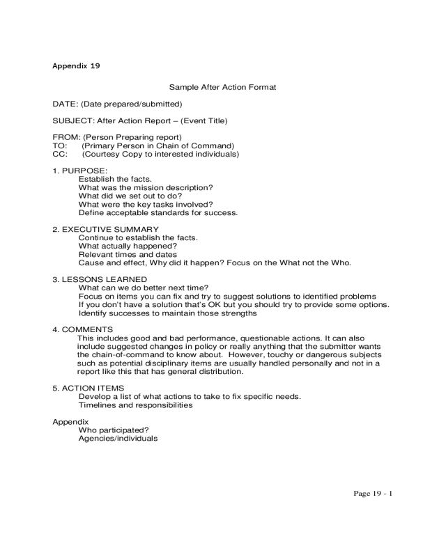 2024 After Action Report Template Fillable Printable PDF Forms 