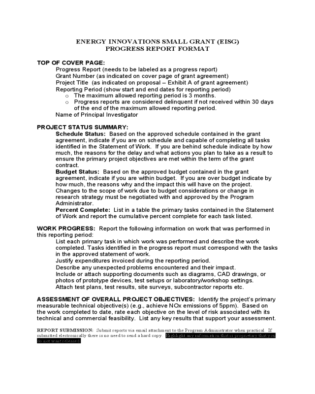 2024 Progress Report Template Fillable Printable PDF Forms Handypdf
