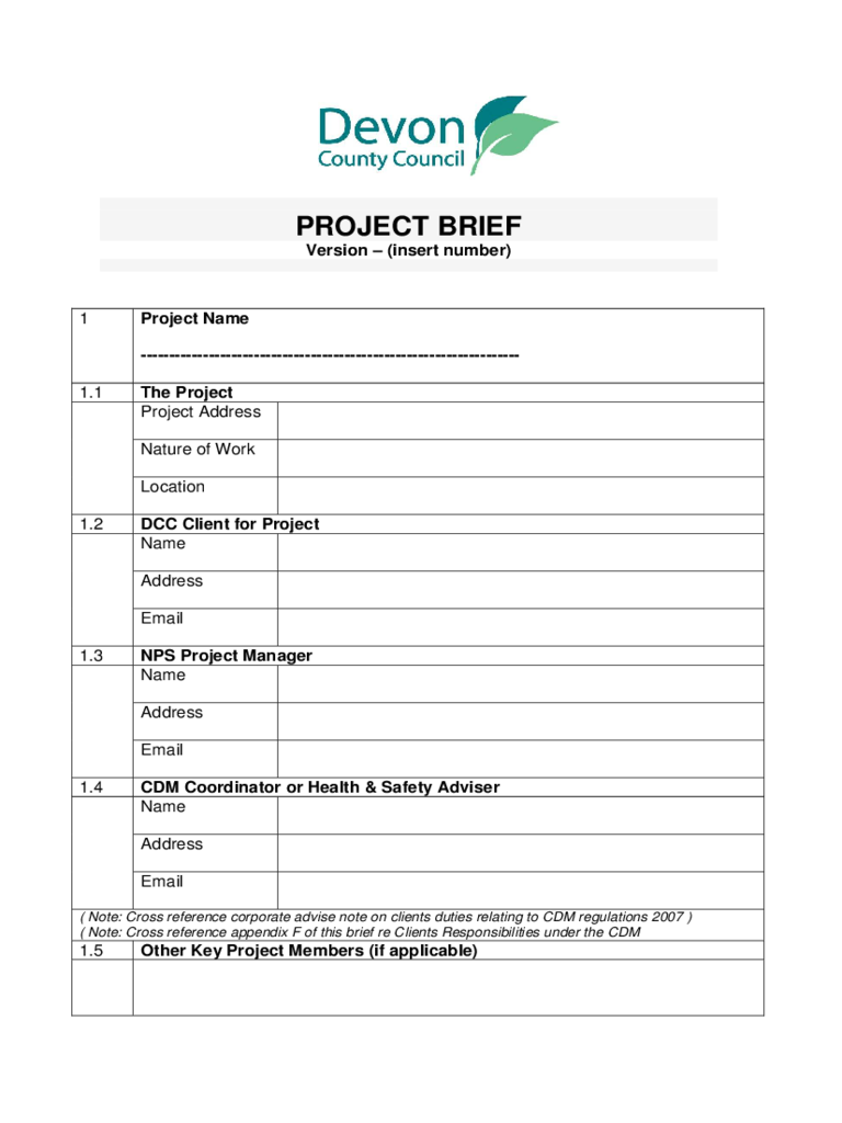 Project Brief Sample Edit Fill Sign Online Handypdf