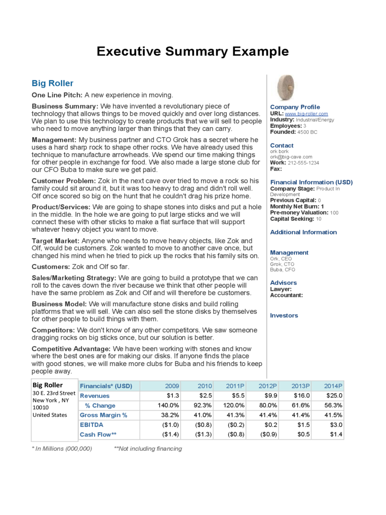 2023 Executive Summary Template Fillable Printable PDF Forms 