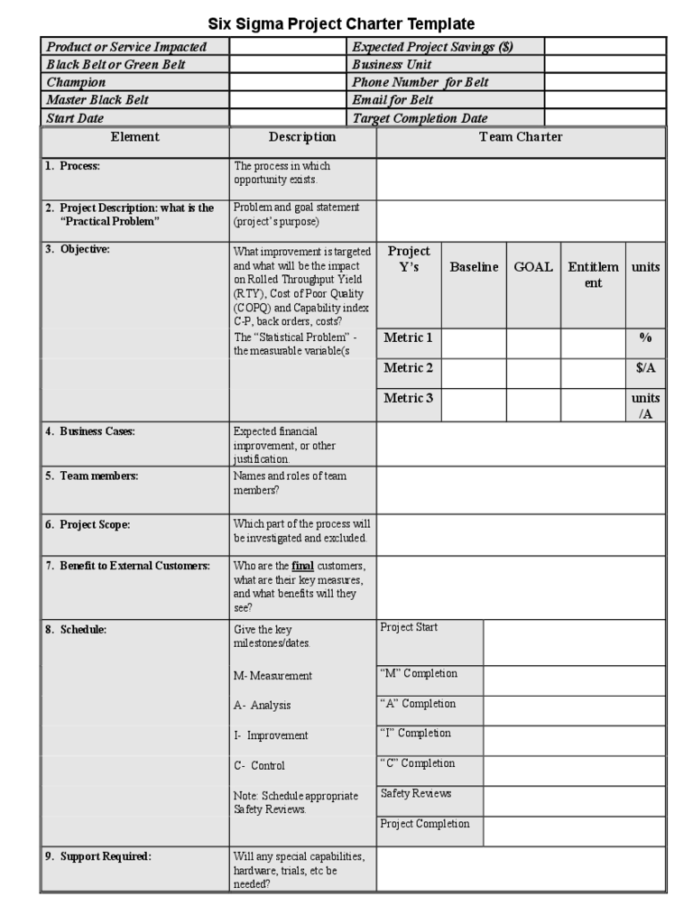 2023 Six Sigma Project Charter Template Fillable Printable PDF 