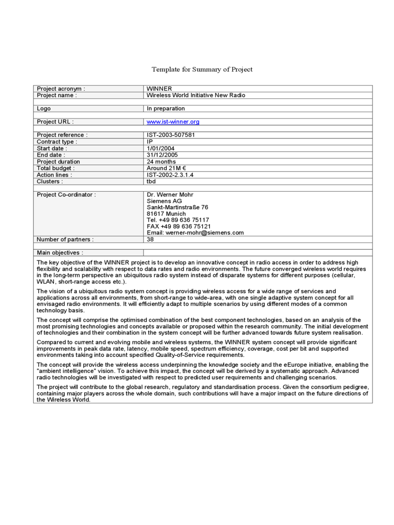 2022 Project Summary Template Fillable Printable PDF Forms Handypdf