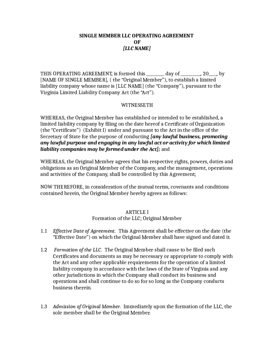 2022 LLC Operating Agreement Template Fillable Printable PDF Forms 